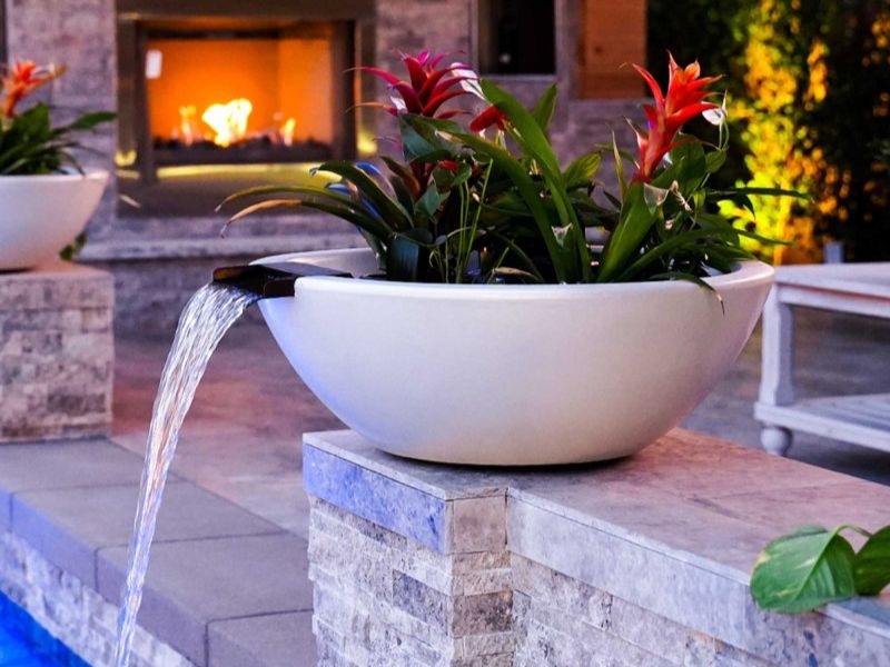 Planter & Water Bowls · Curated by Fire Goddess